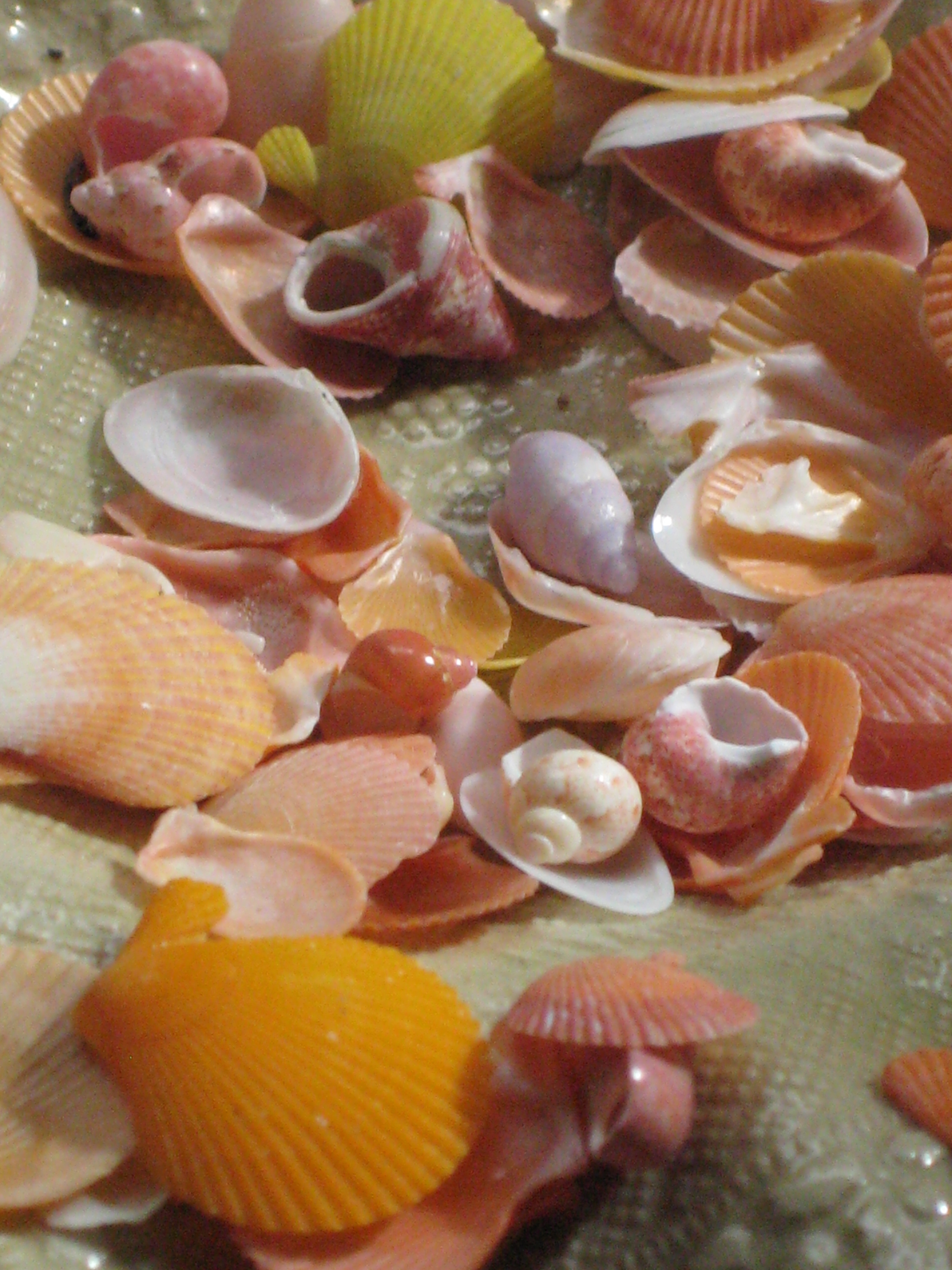 Human – nature interfaces; a learning journey | HumaNature Connect